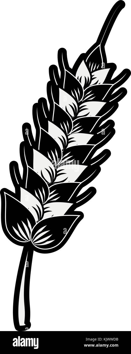 Autumn leaves icon harvest Black and White Stock Photos & Images - Alamy