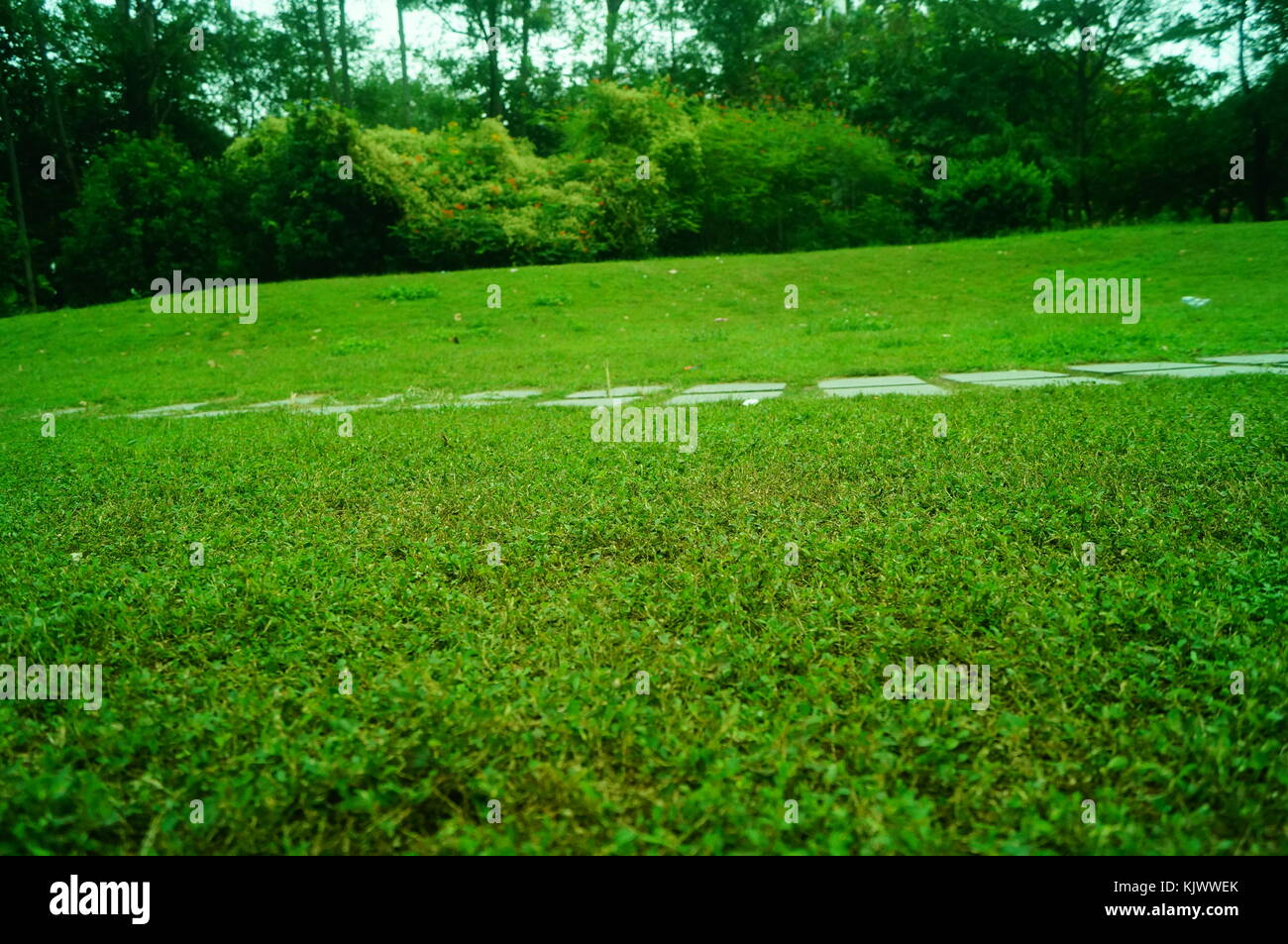 Wide green lawn, quiet, beautiful Stock Photo - Alamy