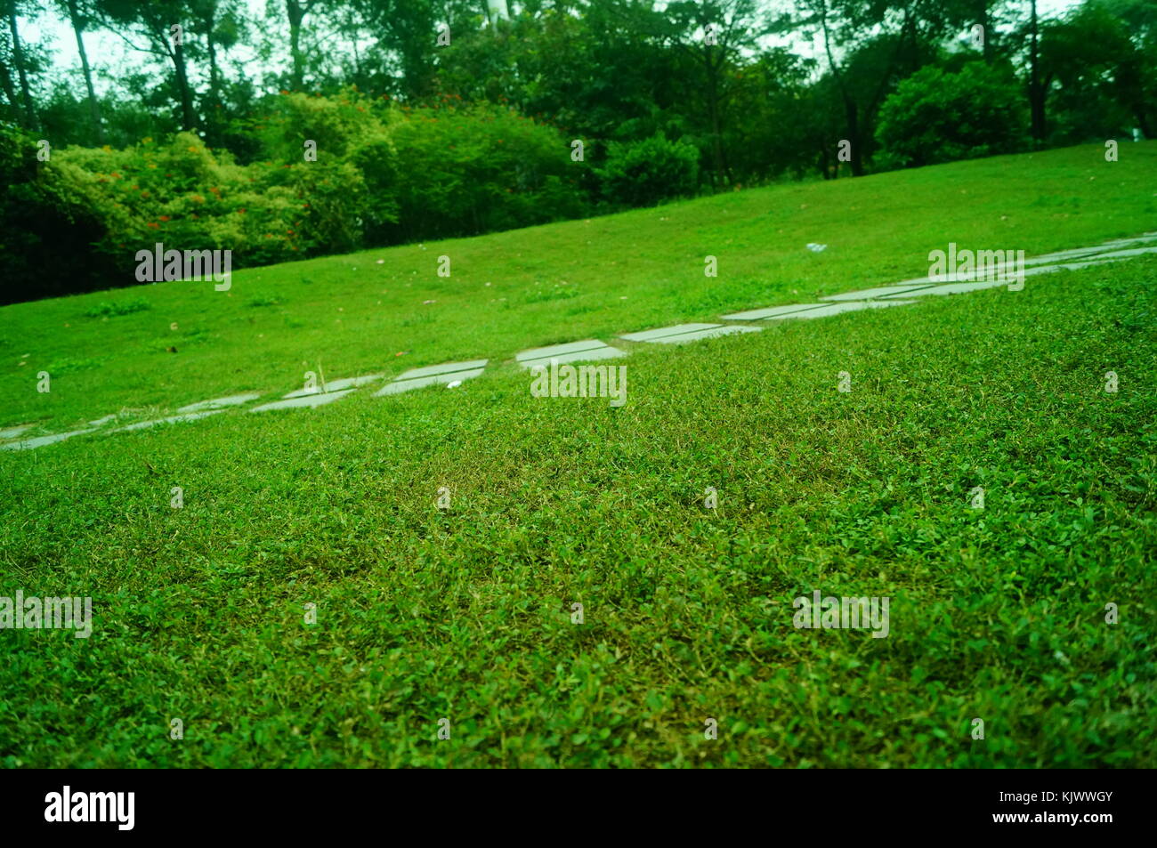 Wide green lawn, quiet, beautiful Stock Photo - Alamy
