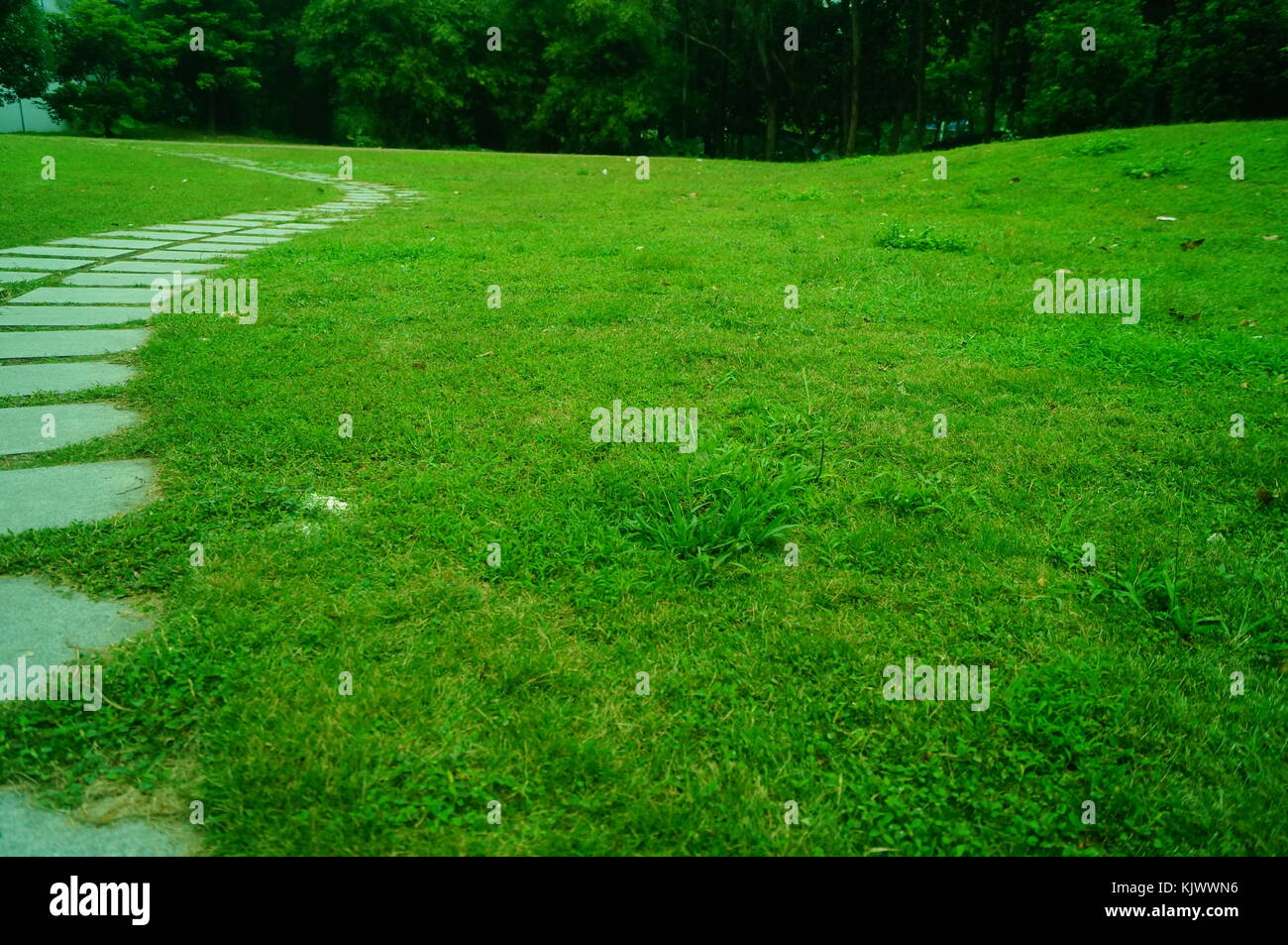 Wide green lawn, quiet, beautiful Stock Photo - Alamy
