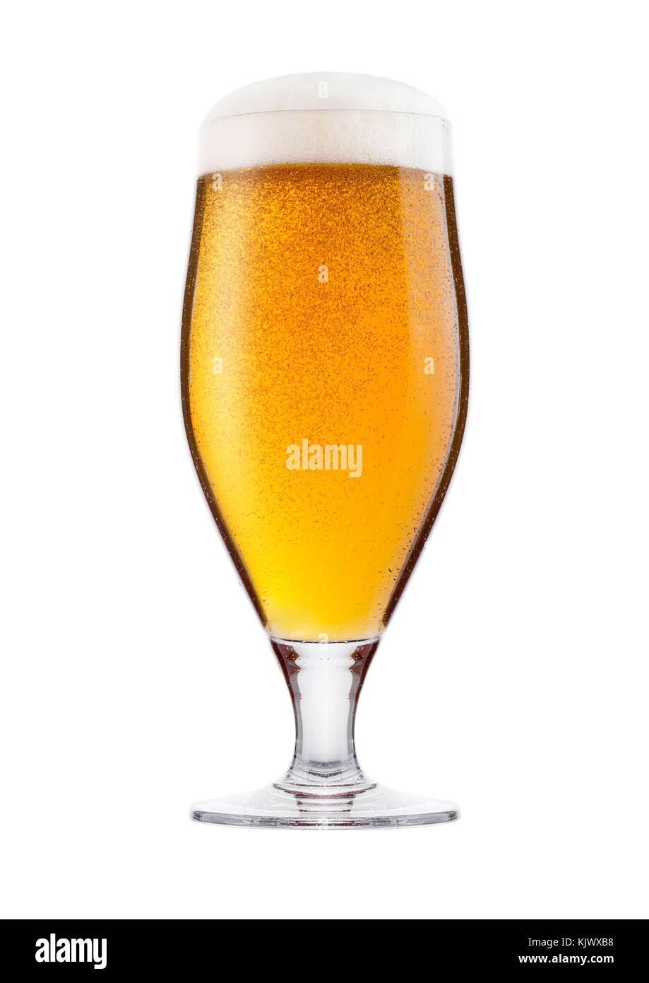 Cold glass of lager beer with foam and dew isolated on white background ...