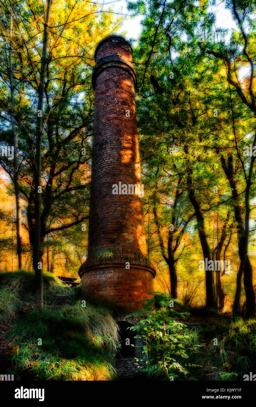 Seasonal trees hi-res stock photography and images - Alamy