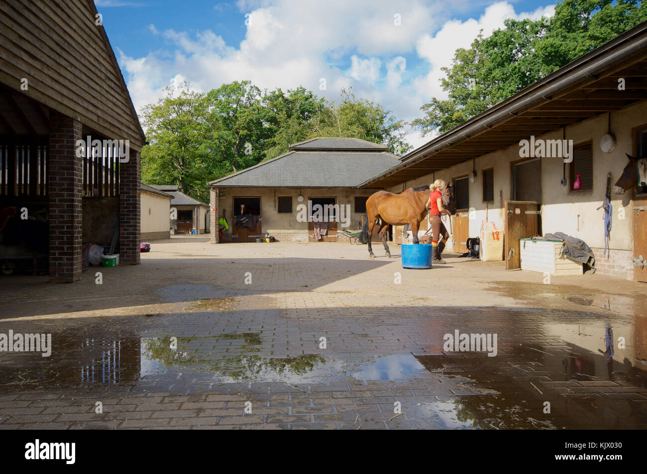 A view of a British Stables in Dorset Stock Photo - Alamy