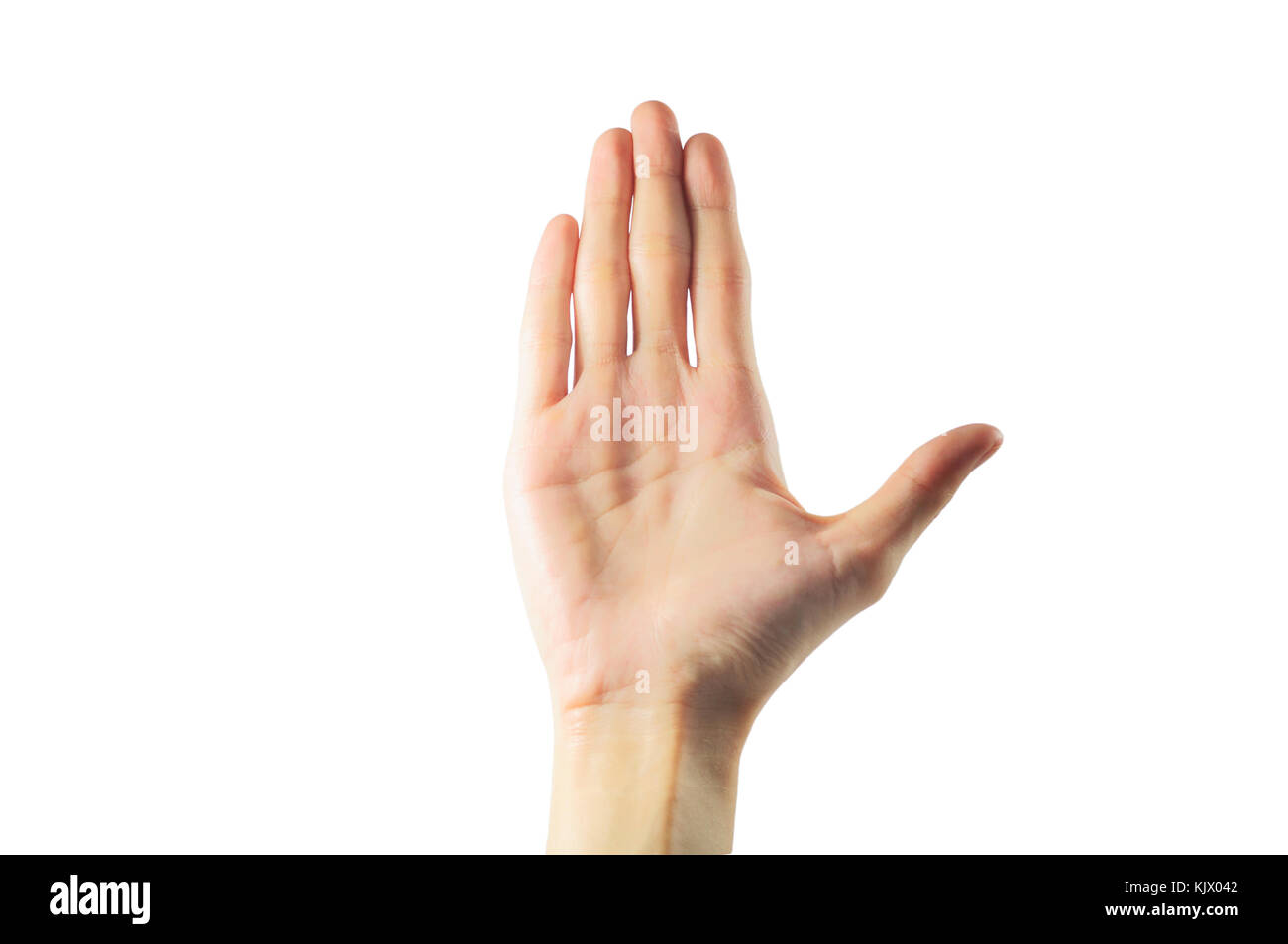 Beautiful female hand isolated on white background, asian, yellow skin ...