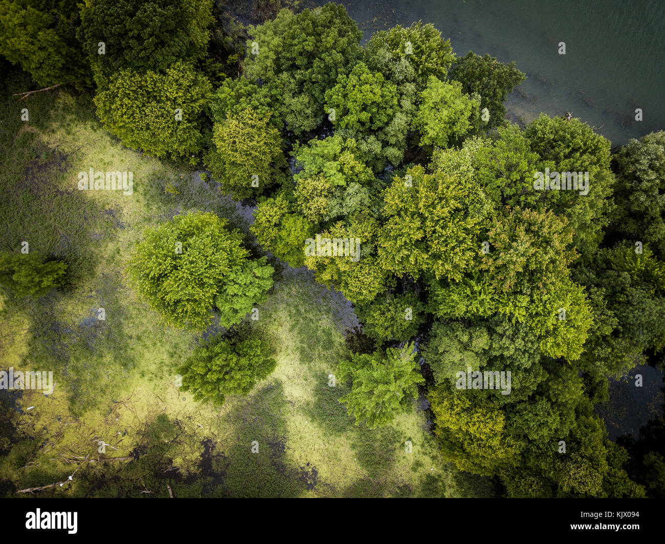 Aerial view of submerged island and shoreline on the St-Lawrence River ...