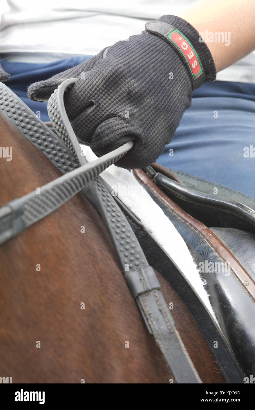 Close up of rider's hand holding reigns, Moreton Equestrian Centre ...