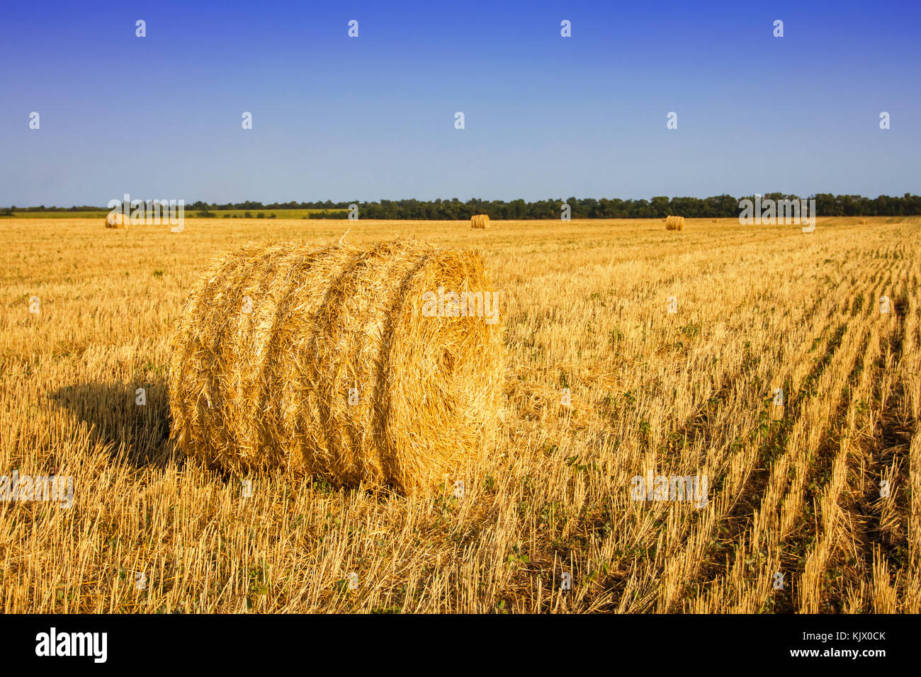 Rolled haystack hi-res stock photography and images - Alamy
