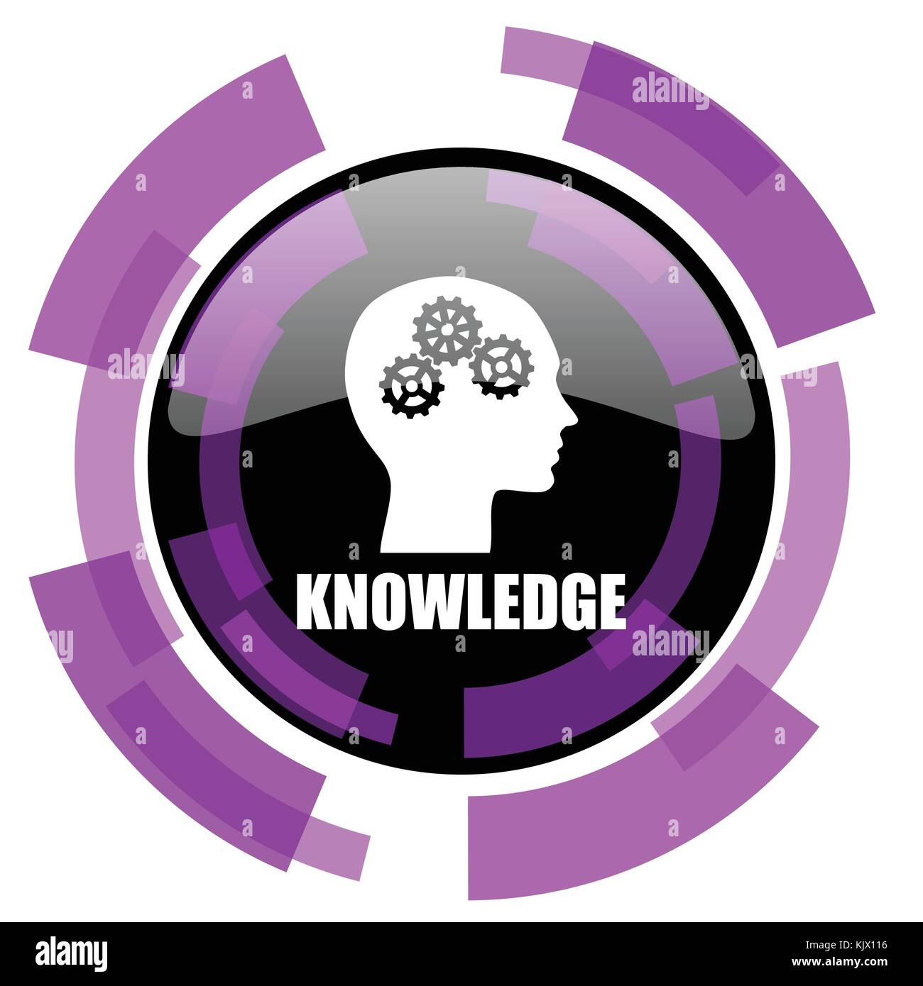 Knowledge pink violet modern design vector web and smartphone icon ...