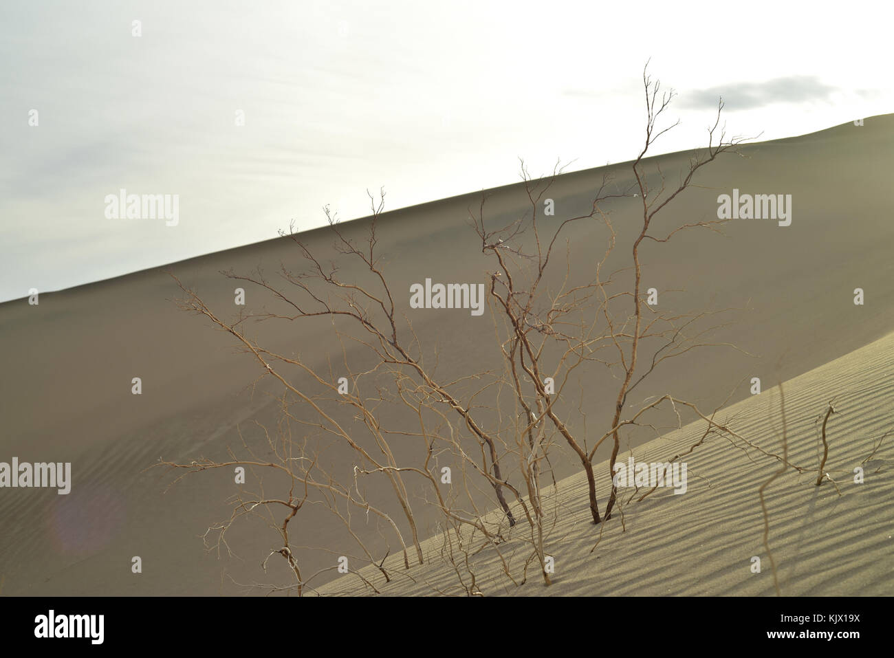 sign for desert town of Crystal Nevada USA Stock Photo - Alamy