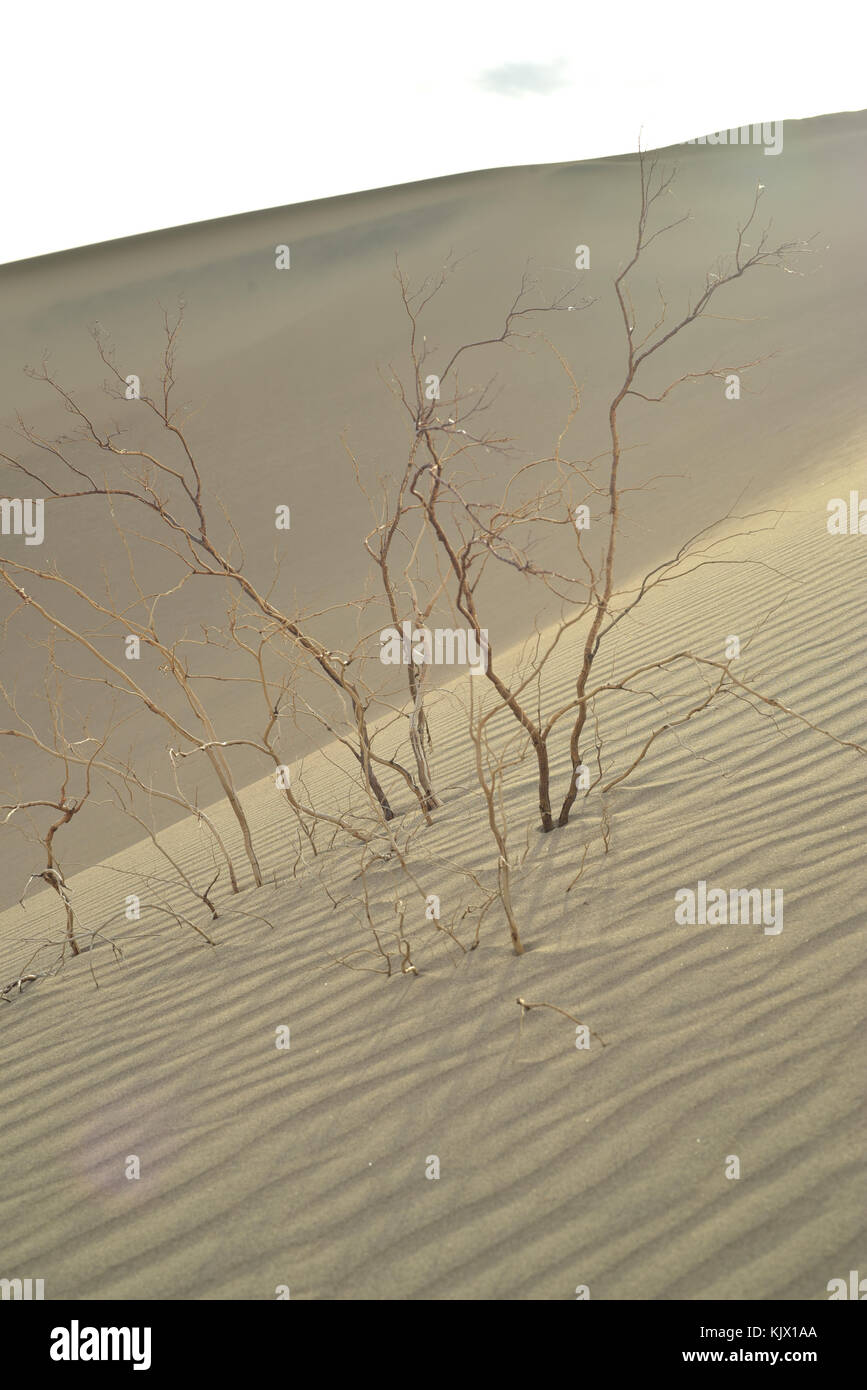 sign for desert town of Crystal Nevada USA Stock Photo - Alamy