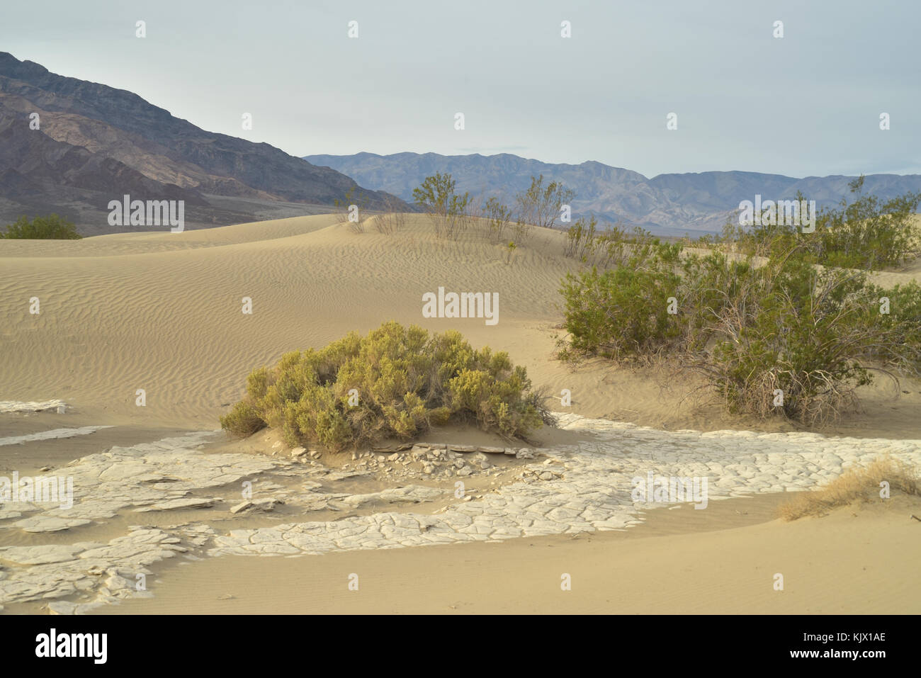 sign for desert town of Crystal Nevada USA Stock Photo - Alamy