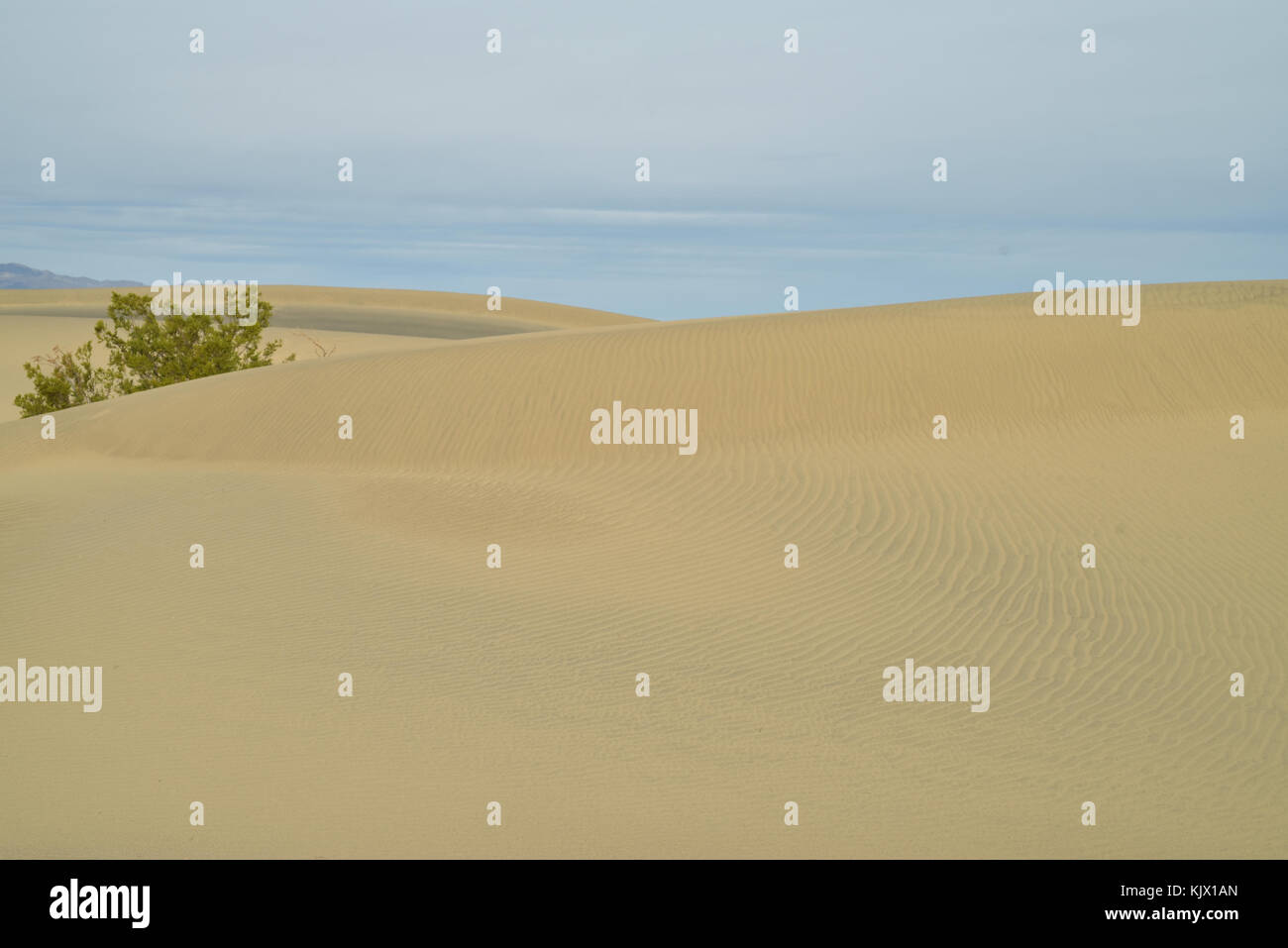 sign for desert town of Crystal Nevada USA Stock Photo - Alamy