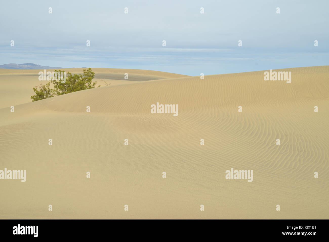 sign for desert town of Crystal Nevada USA Stock Photo - Alamy