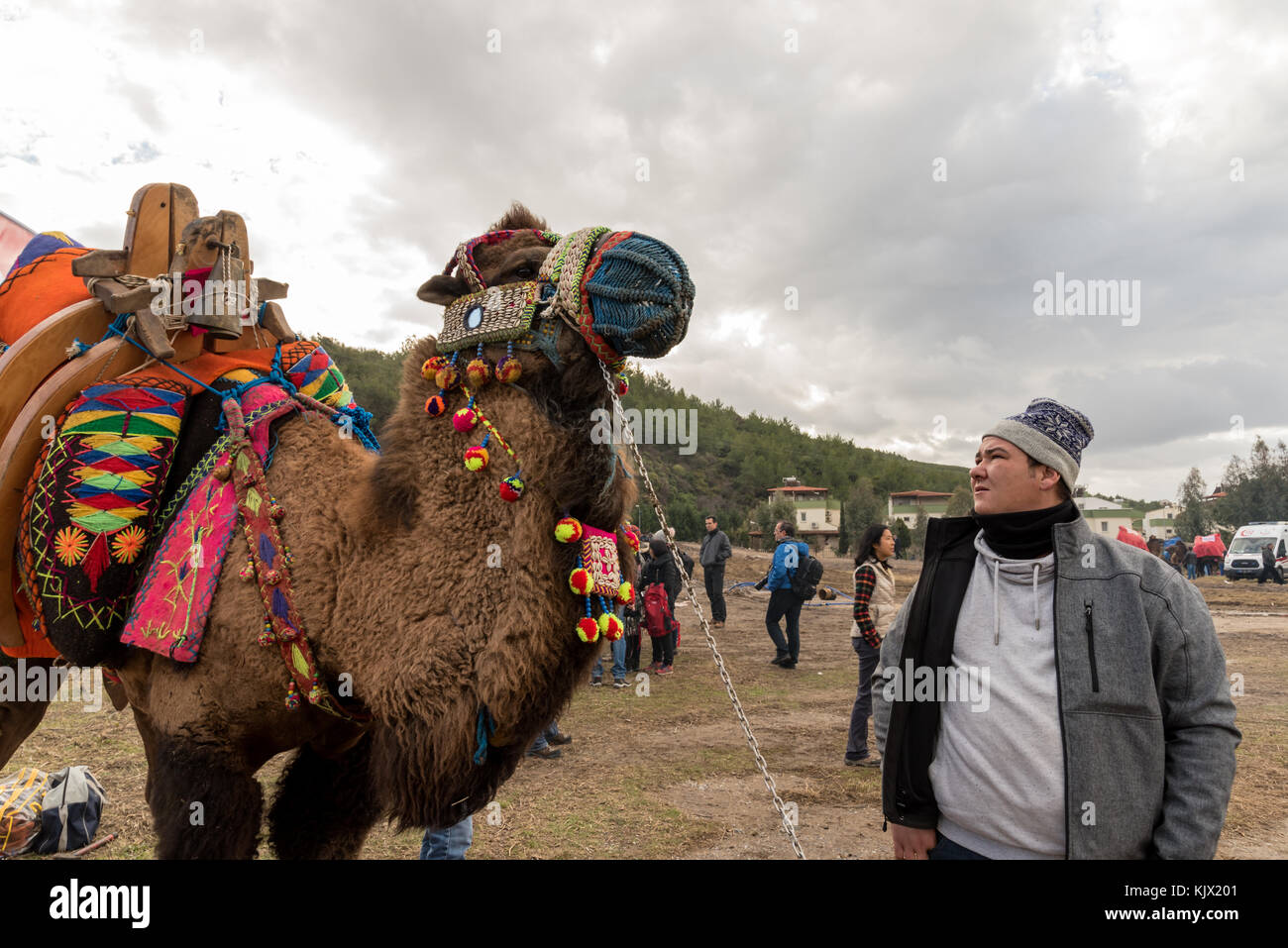 A Turkish camel got prepared and dressed colorful by its owner for ...
