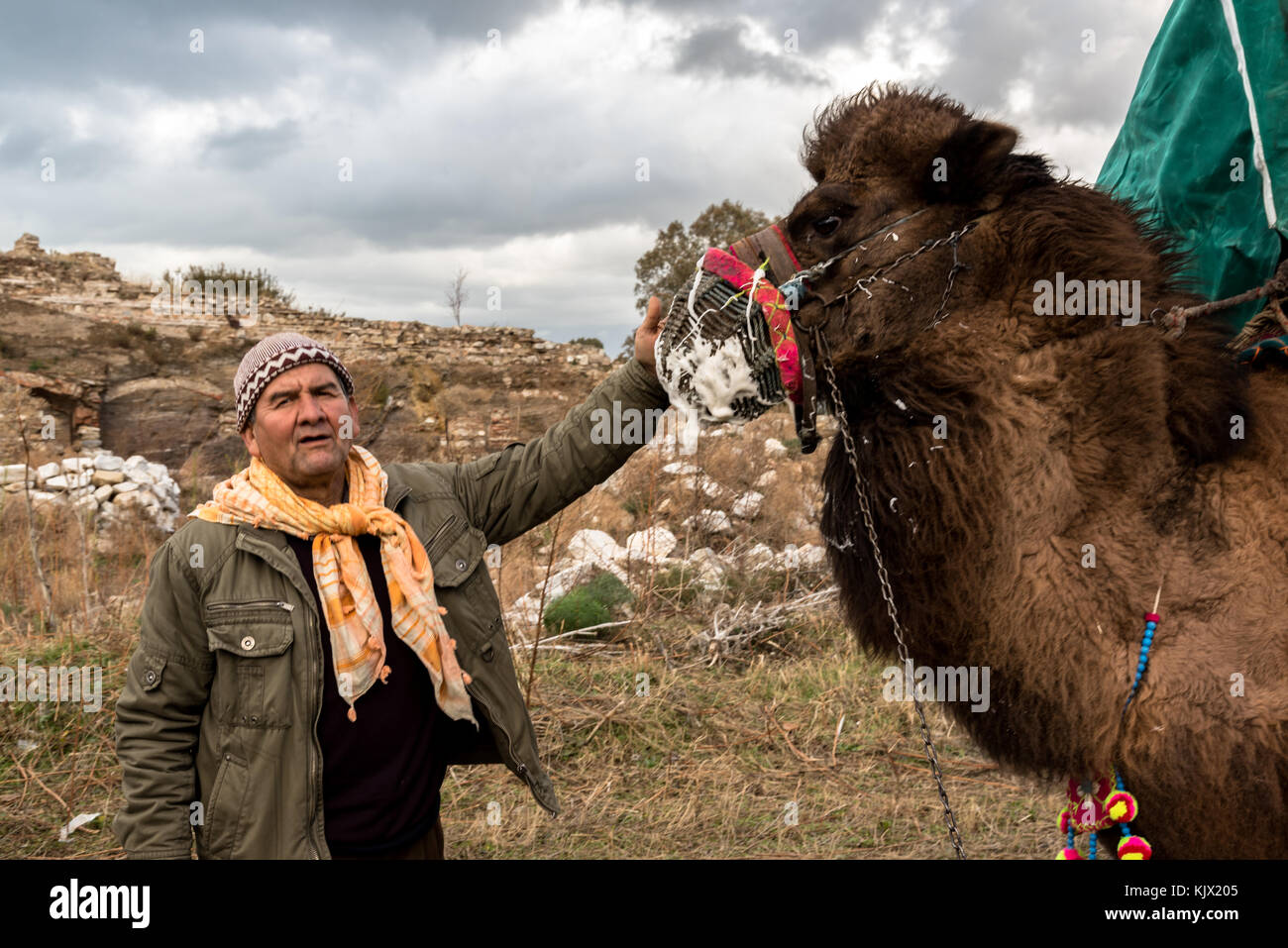 A Turkish camel got prepared and dressed colorful by its owner for ...
