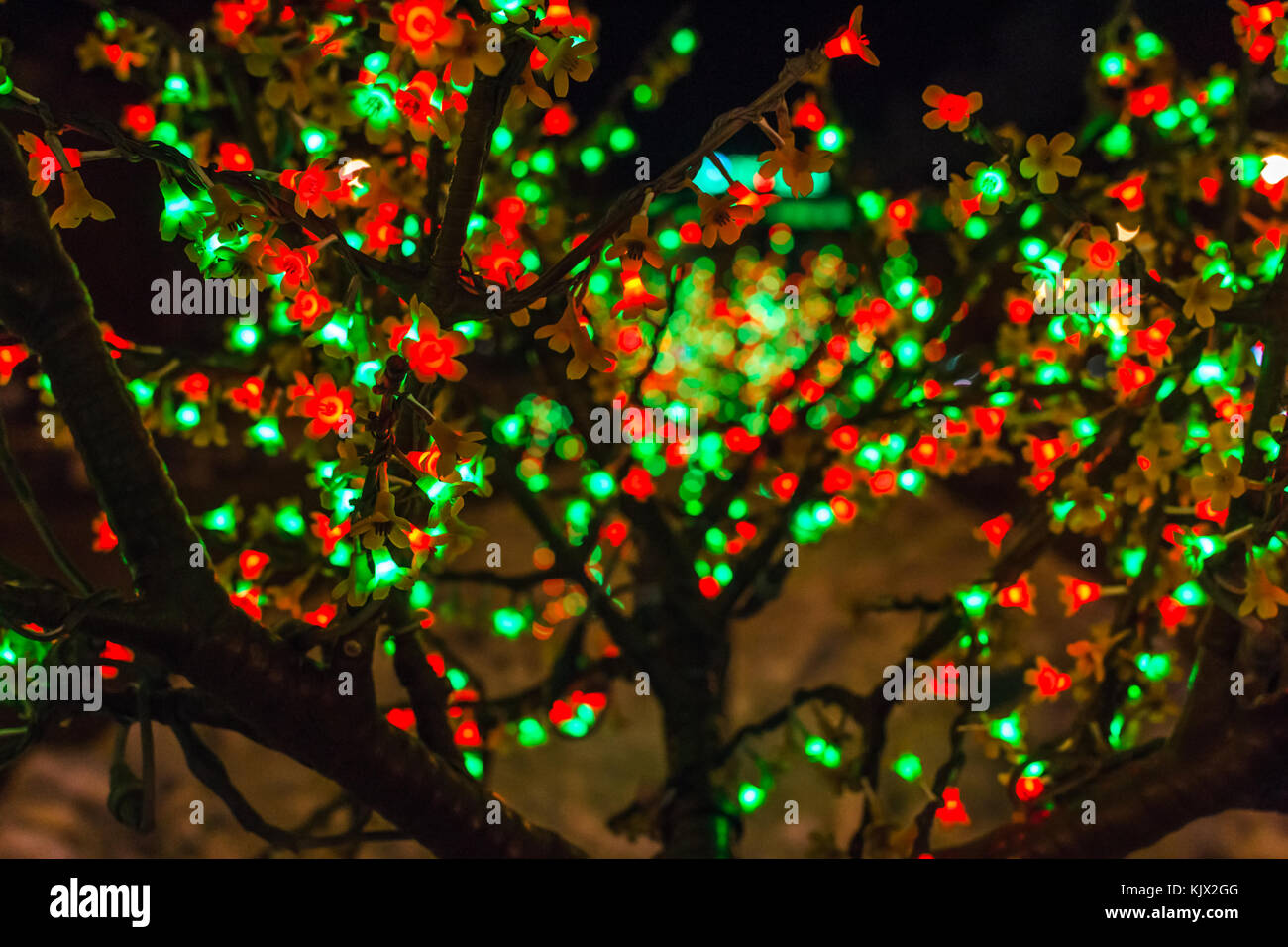 glowing bright tree colors night Christmas mood Stock Photo - Alamy
