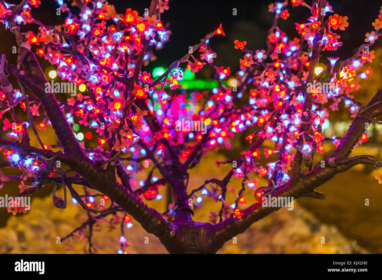 glowing bright tree colors night Christmas mood Stock Photo - Alamy