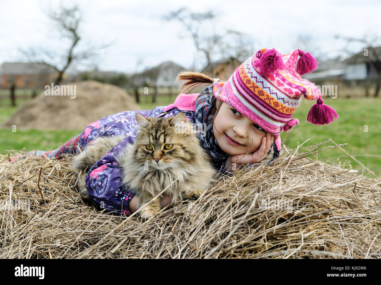 The girl with the fluffy cat is on a haystack Stock Photo - Alamy