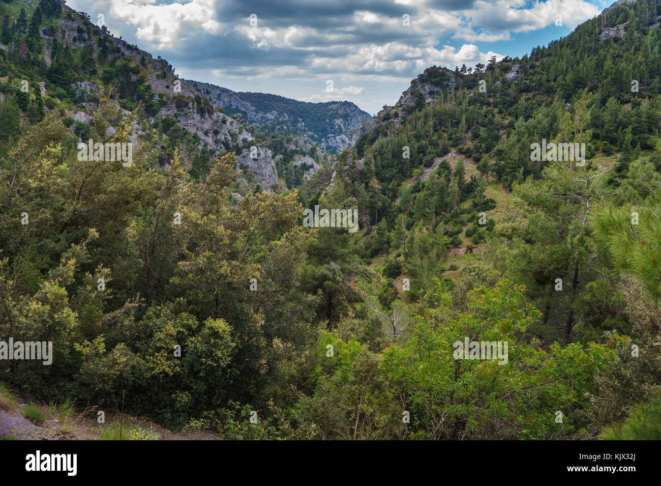 Chalcis Greece High Resolution Stock Photography and Images - Alamy