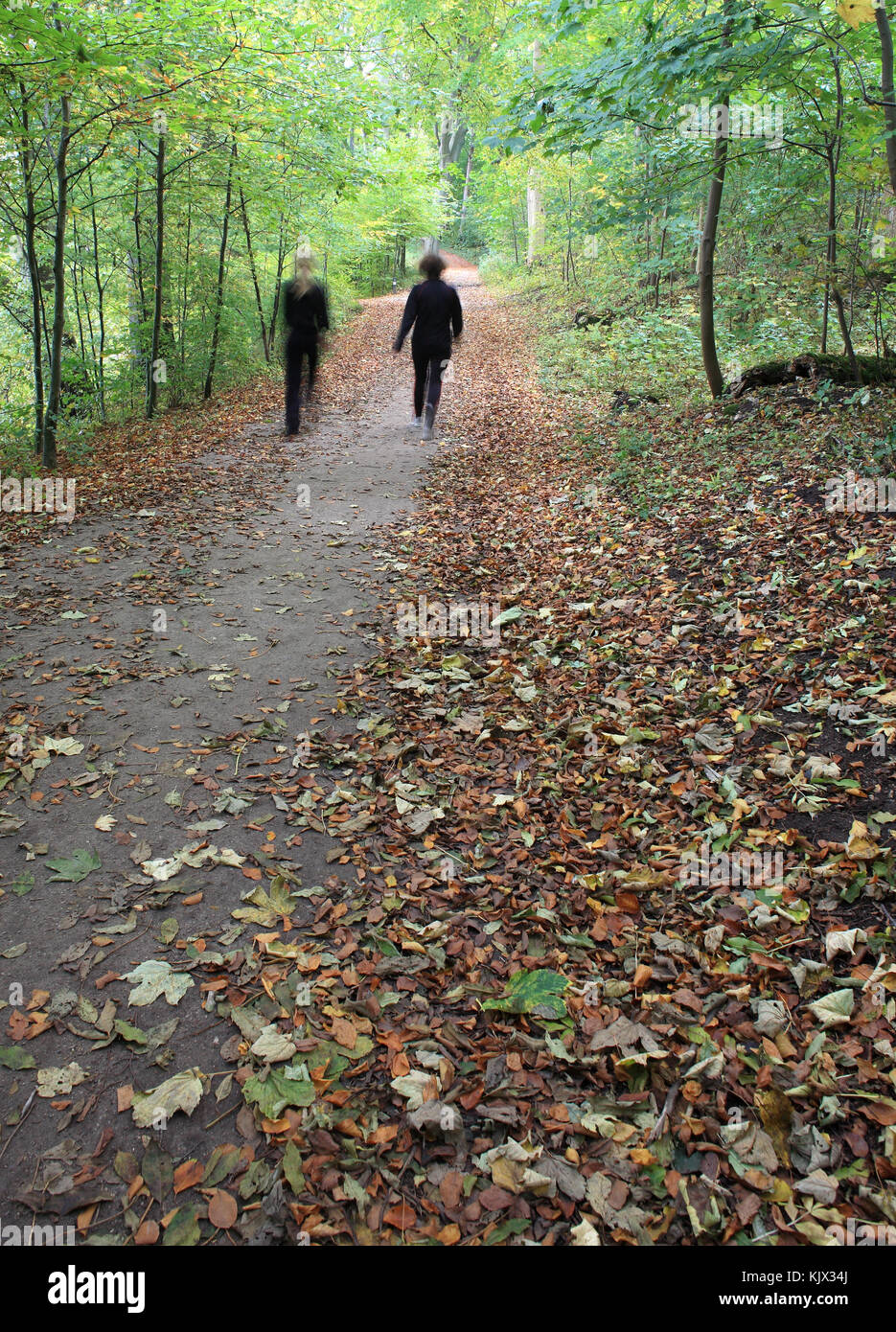 two people going in a forest Stock Photo - Alamy