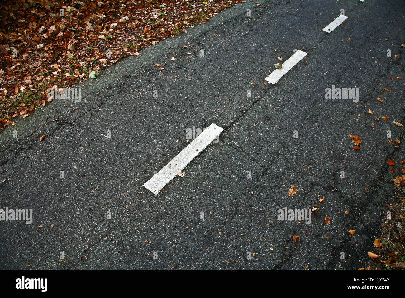 Road in a forest in denmark Stock Photo - Alamy