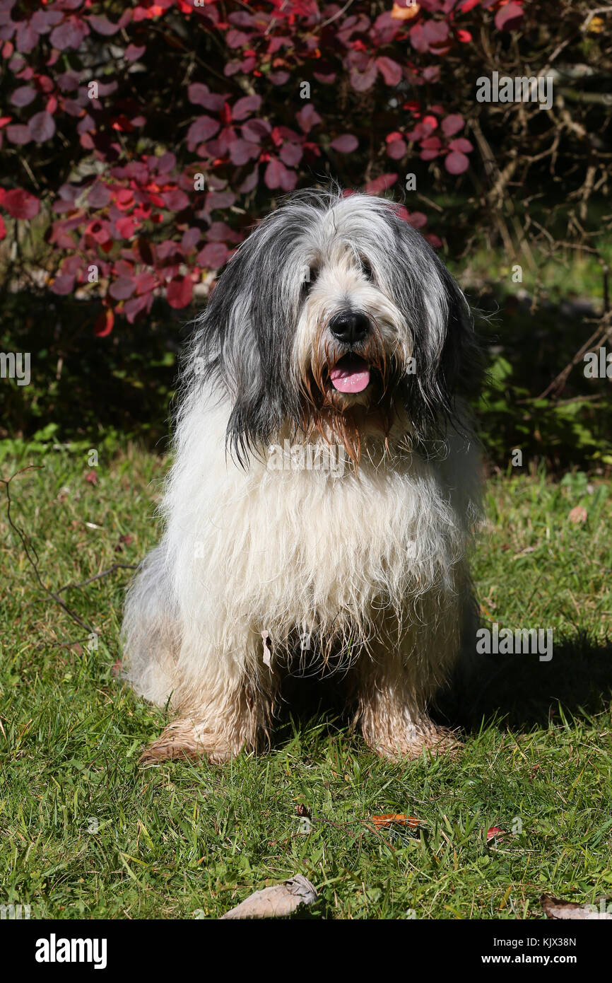 Polish lowland hi-res stock photography and images - Alamy