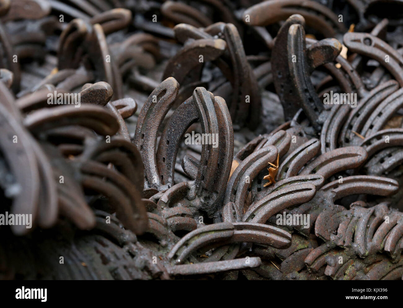 Detail of a dragon sculpture created by artist Jim Poolman from more ...