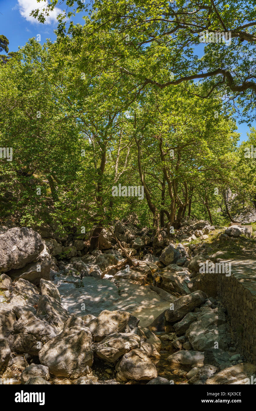Famous dirfys dirfi forest hi-res stock photography and images - Alamy