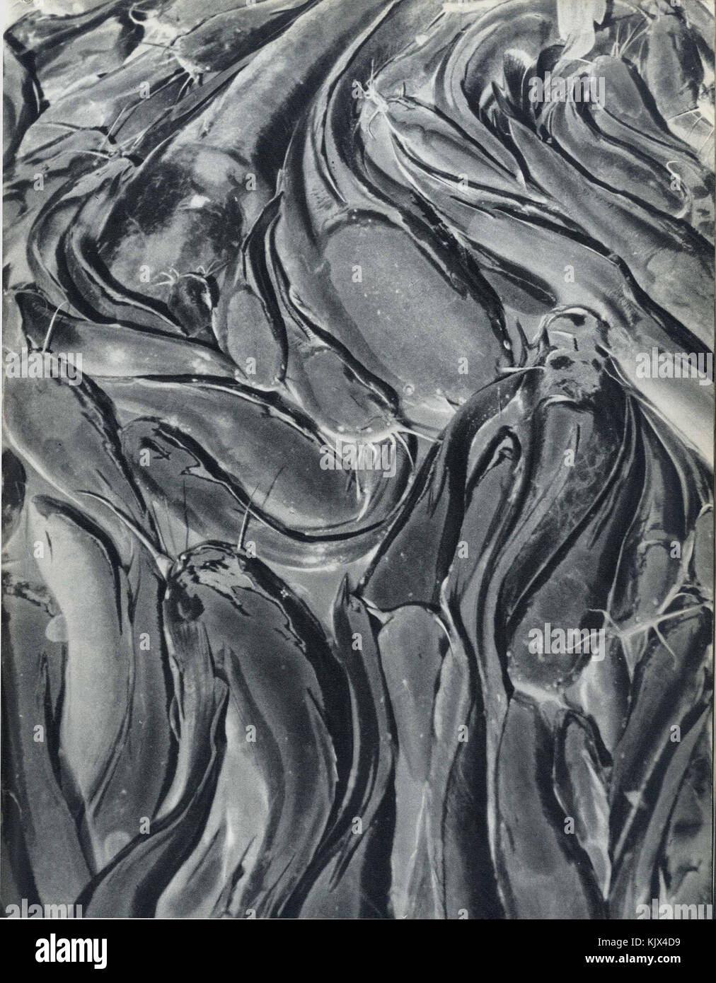 A historical image of Peter Merom, focusing on his life and ...