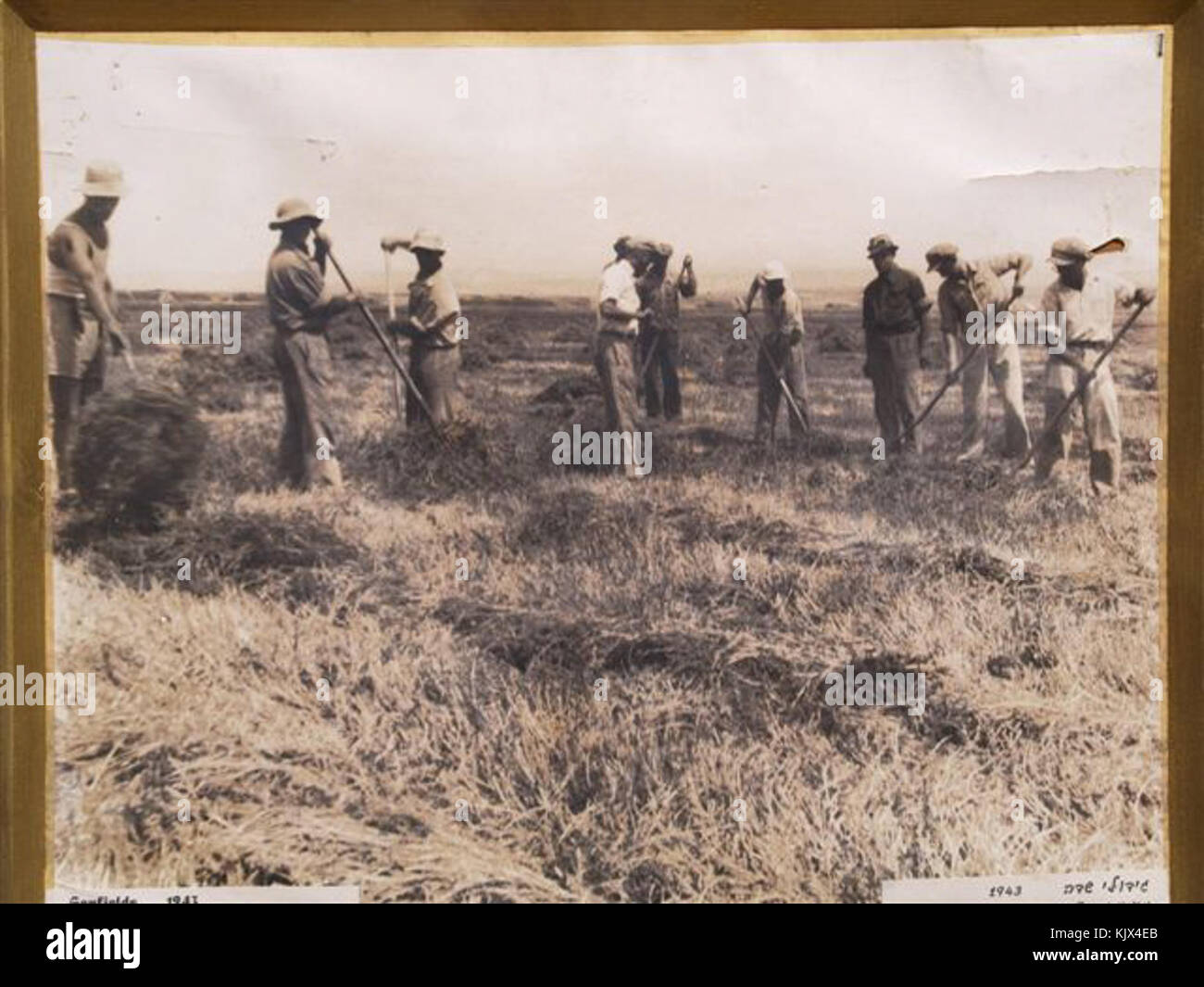 Field workers hi-res stock photography and images - Alamy