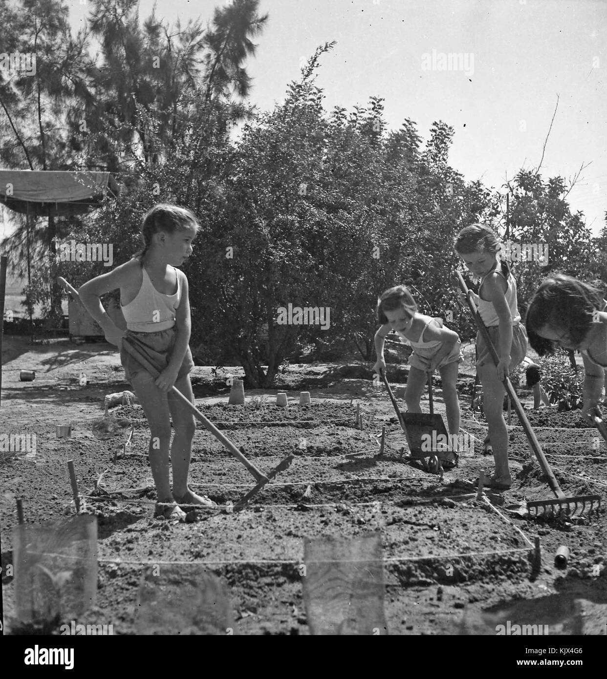 Regional education development Black and White Stock Photos & Images ...