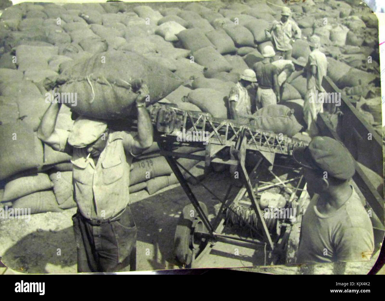 Israel 13936 Grain warehouse Stock Photo - Alamy