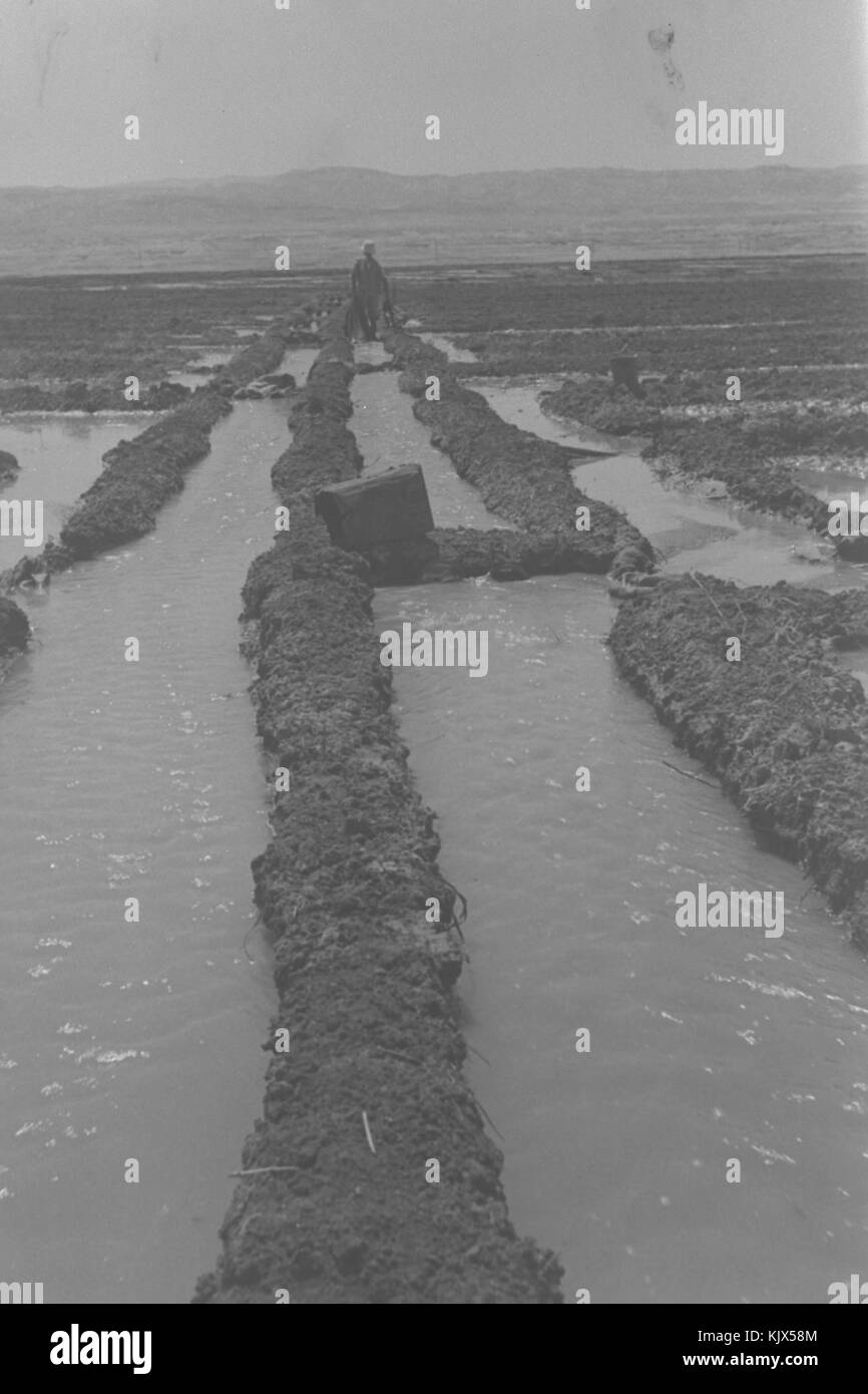 High water content Black and White Stock Photos & Images - Alamy