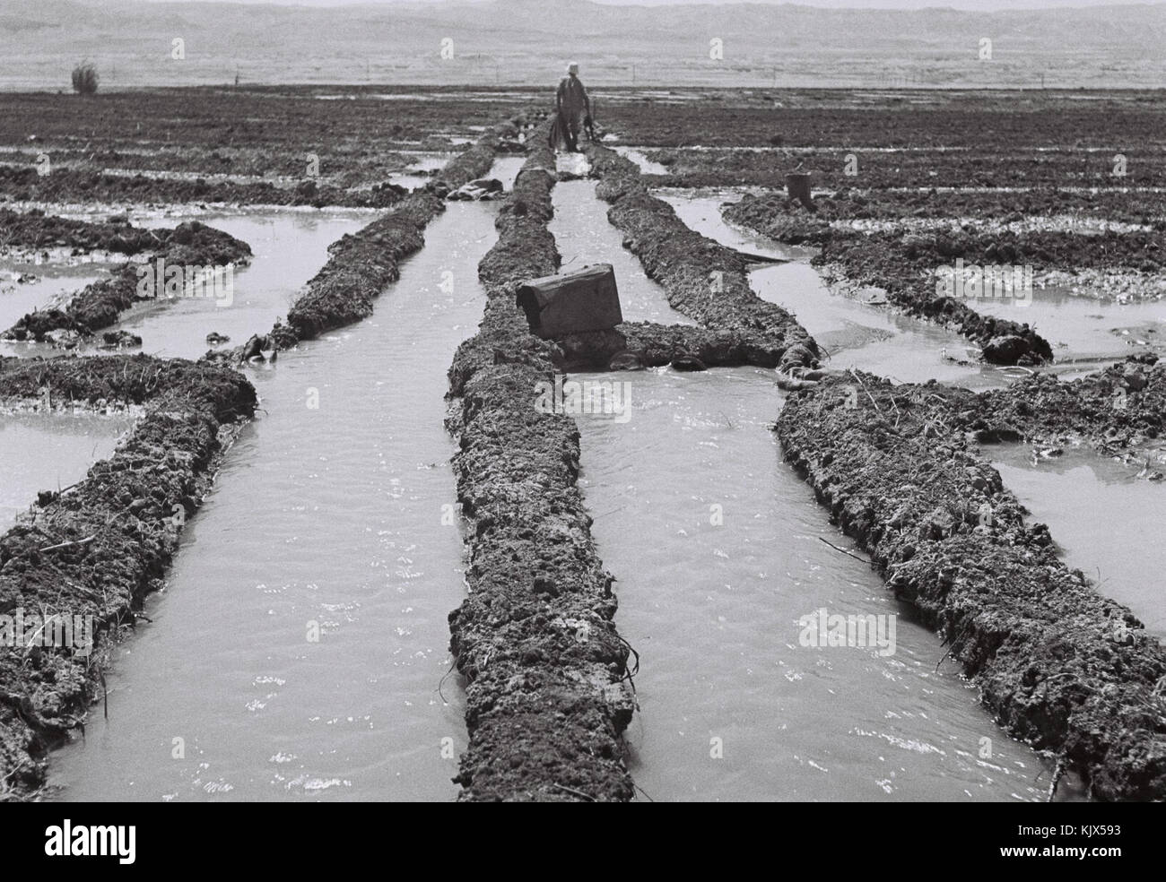 FIELDS OF KIBBUTZ BEIT HAARAVA FLOODED BY SWEET WATER FROM THE JORDAN ...