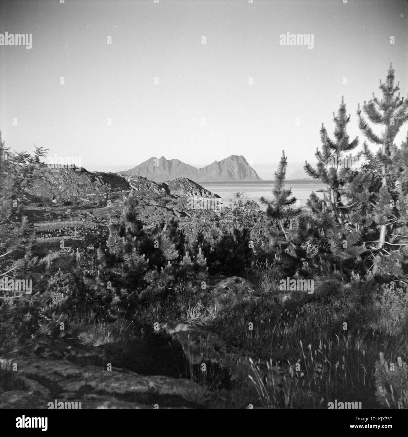 02540 Black and White Stock Photos & Images - Alamy