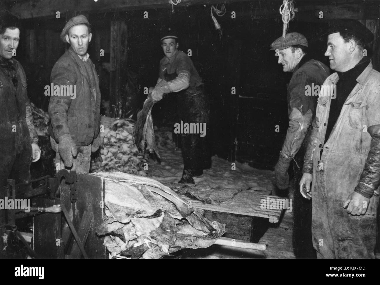 Kanstadsamlingen NMF010005 03413 Stock Photo - Alamy