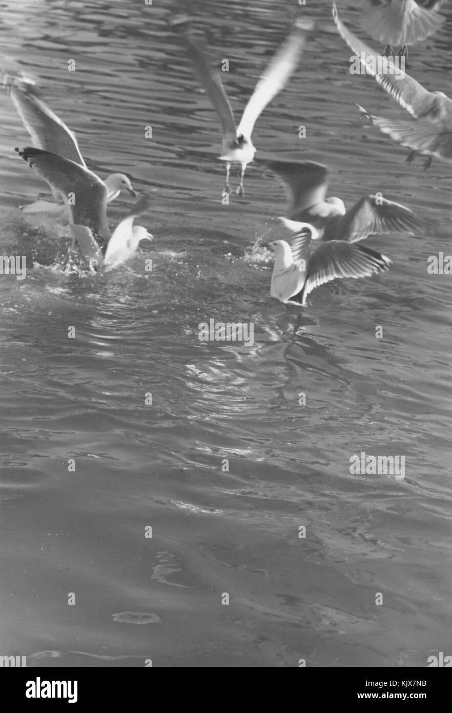 Kanstadsamlingen NMF010005 03433 Stock Photo - Alamy