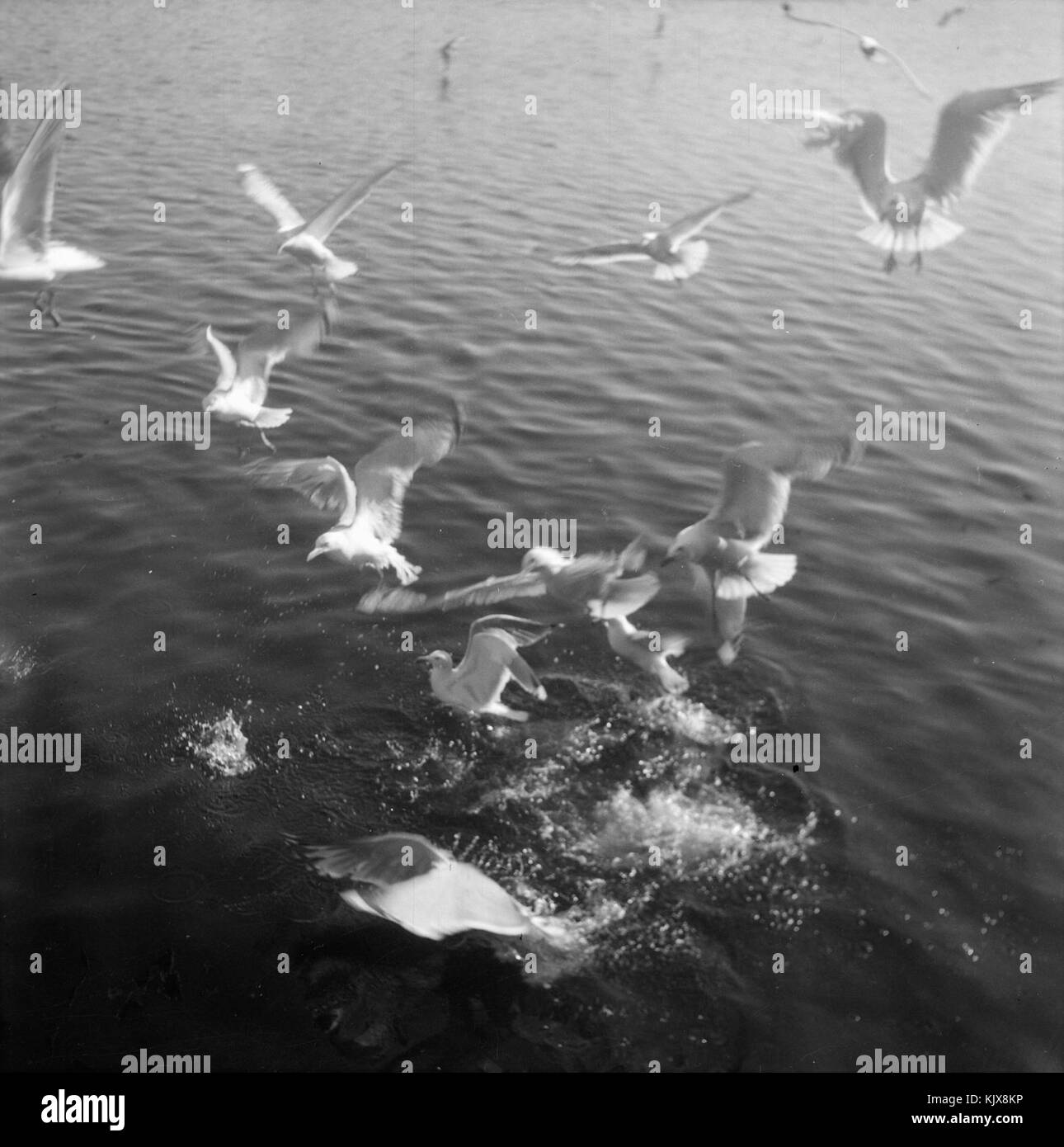 01053 hi-res stock photography and images - Alamy