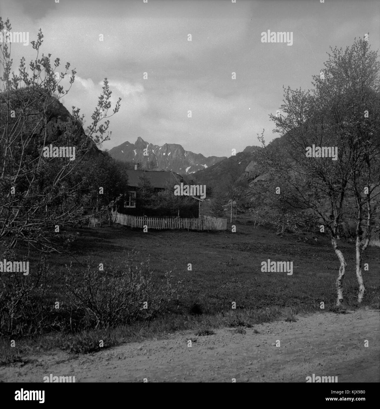 01420 hi-res stock photography and images - Alamy