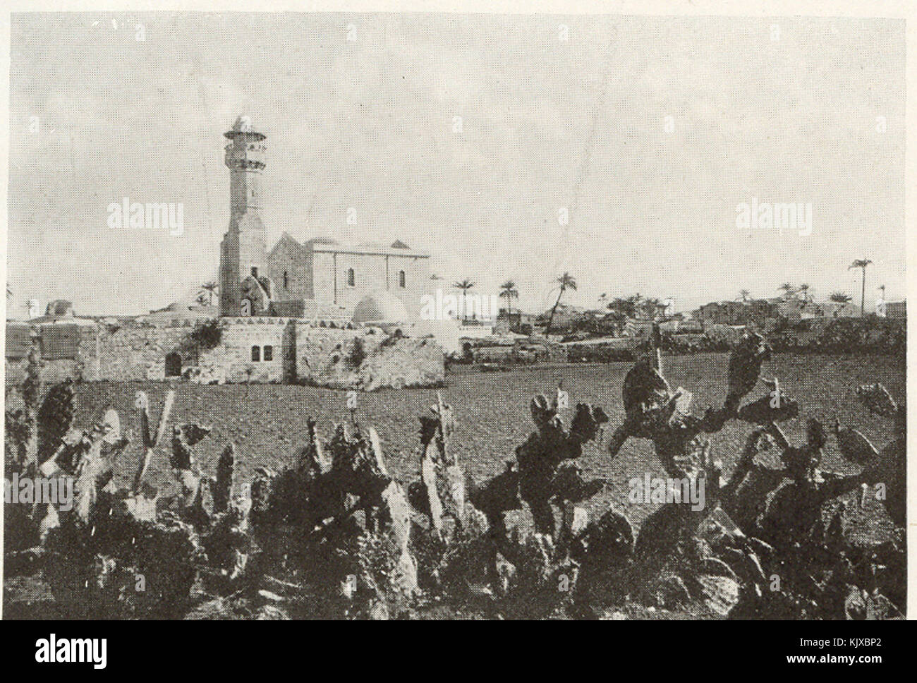 Lydda city hi-res stock photography and images - Alamy