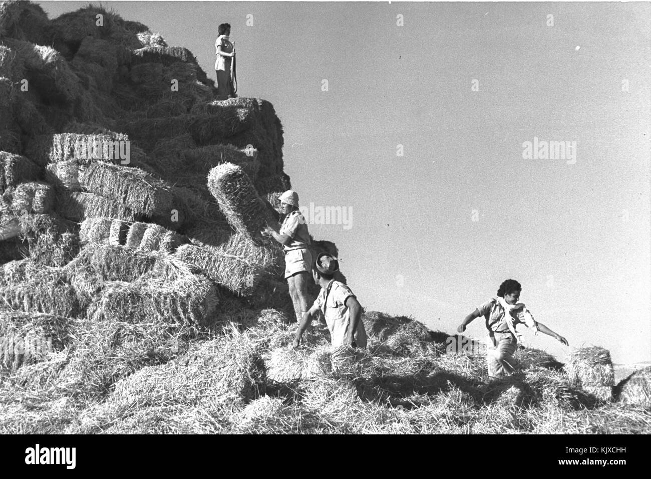 Nahalal Black and White Stock Photos & Images - Alamy