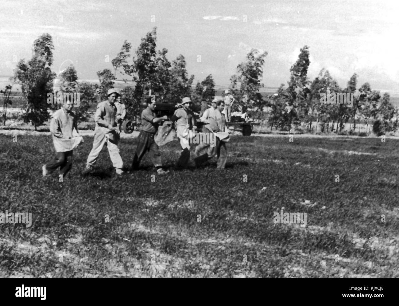 Israel 7902 Gan Samuel Negev fields 1953 Stock Photo - Alamy