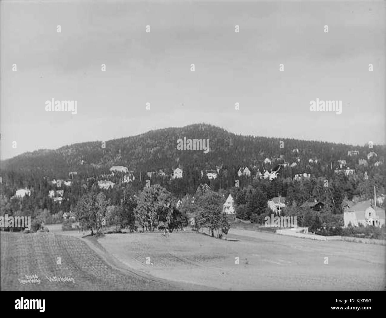 This historic image shows a view of Vettakollen, a mountain located in ...