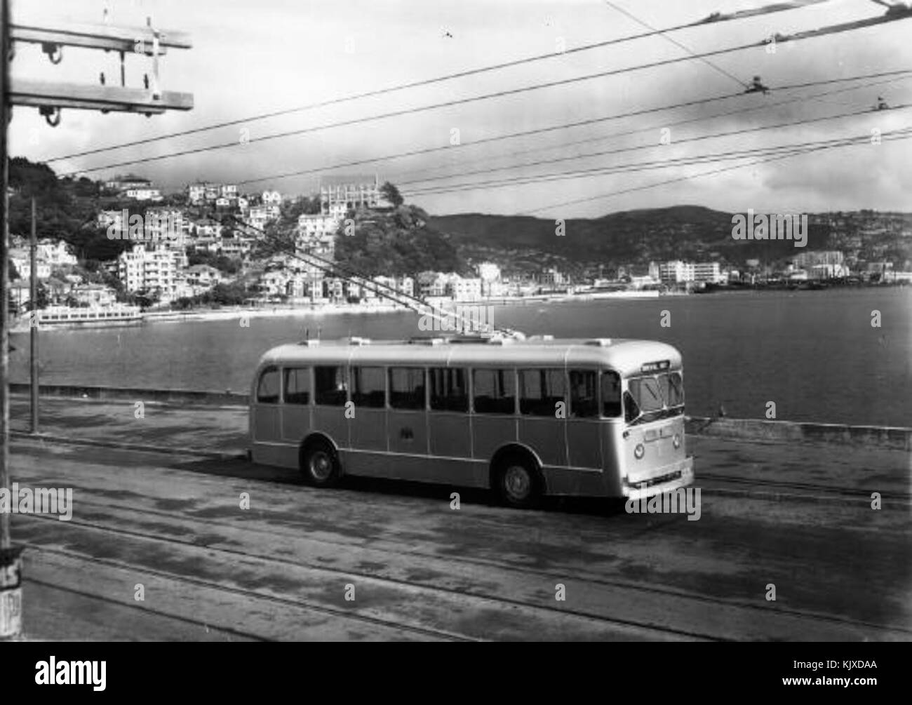 The Wellington trolleybus in Oriental Bay, New Zealand, showcases a ...