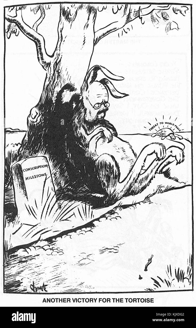 Tortoise life Black and White Stock Photos & Images - Alamy