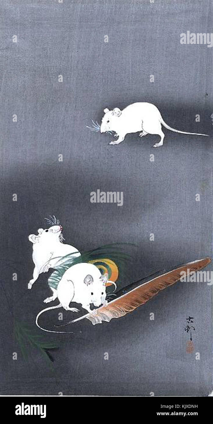 Mice drawing hi-res stock photography and images - Alamy