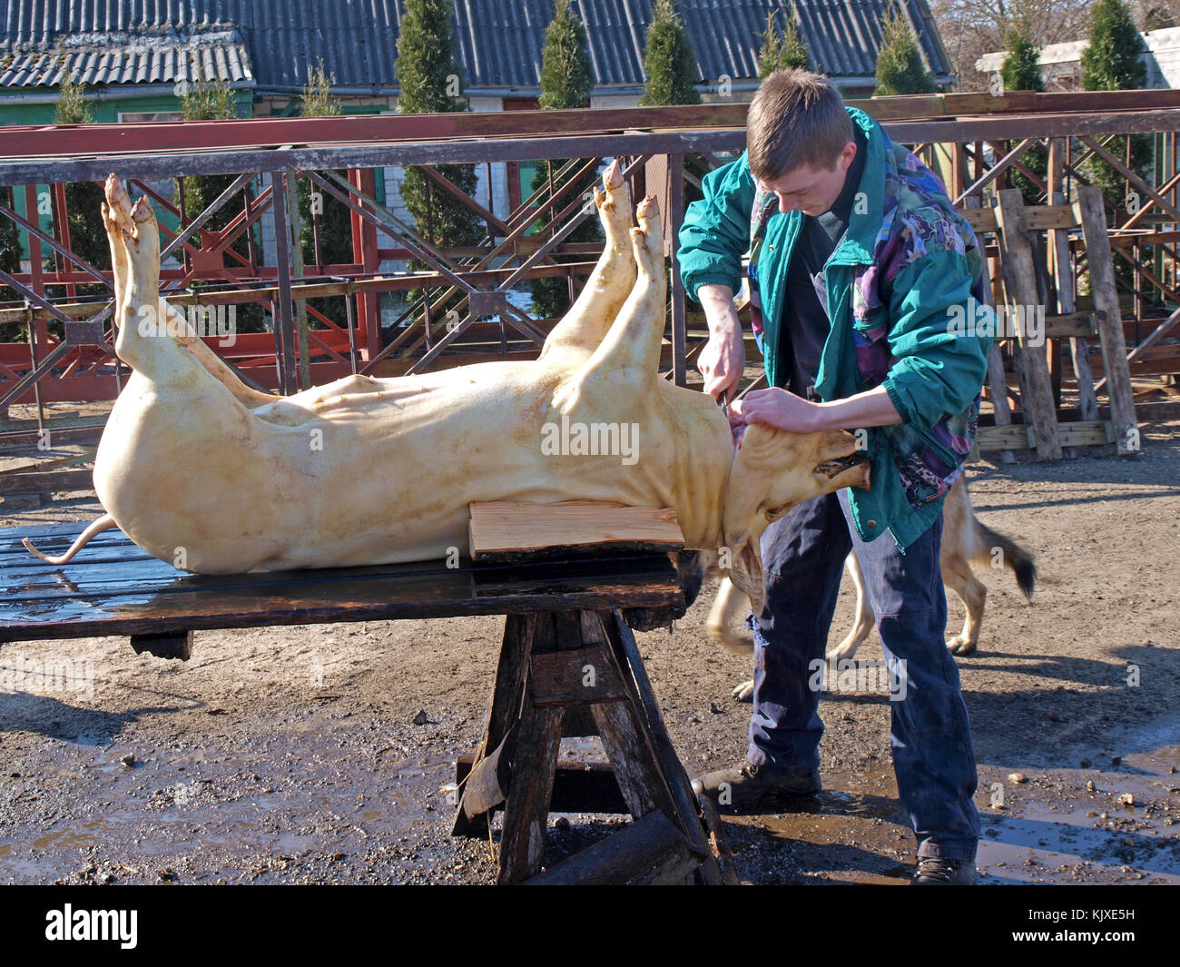 Cutting off his head hi-res stock photography and images - Alamy