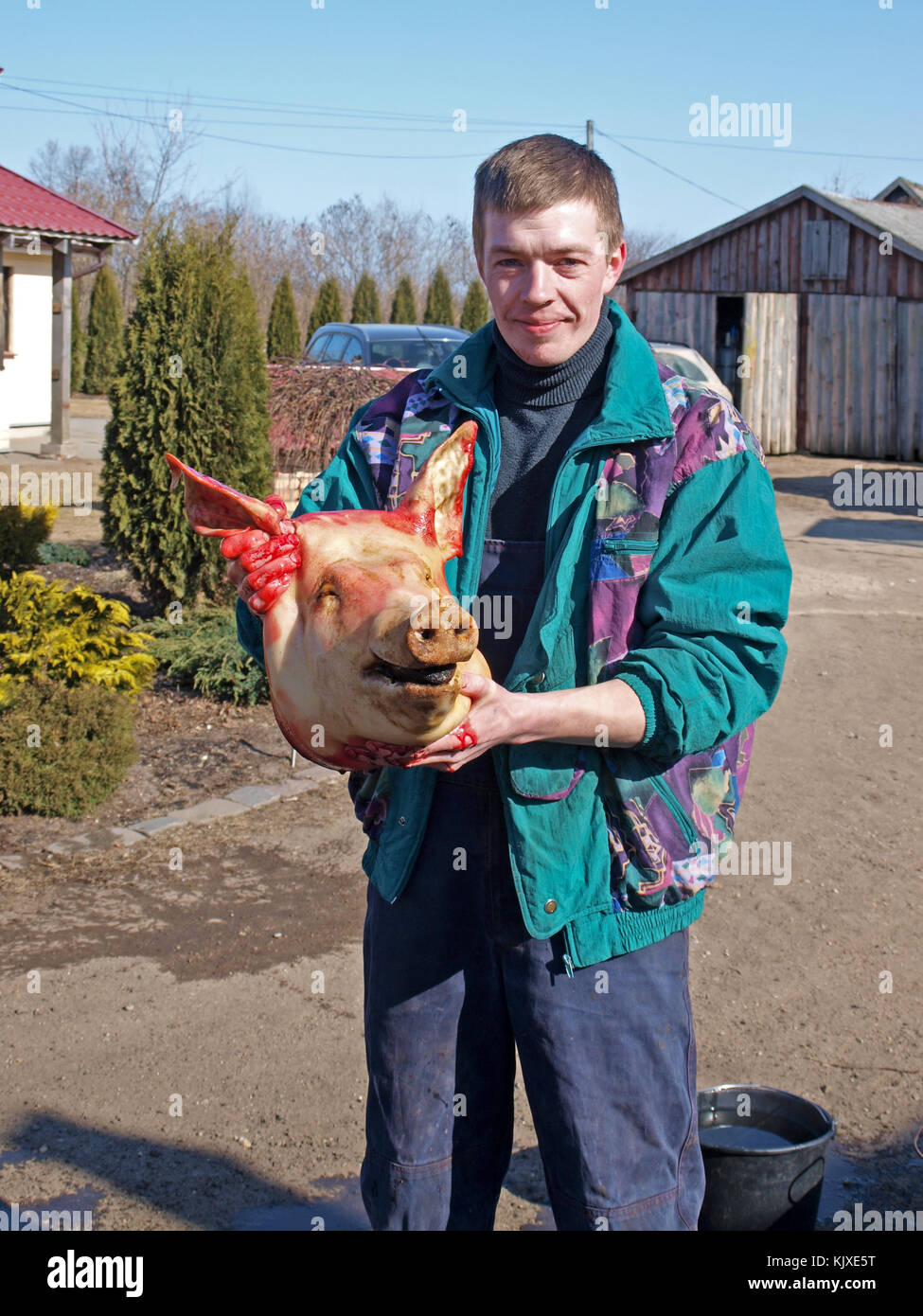NICA, LATVIA - MARCH 23, 2013: Slaughterman is holding in hands the ...