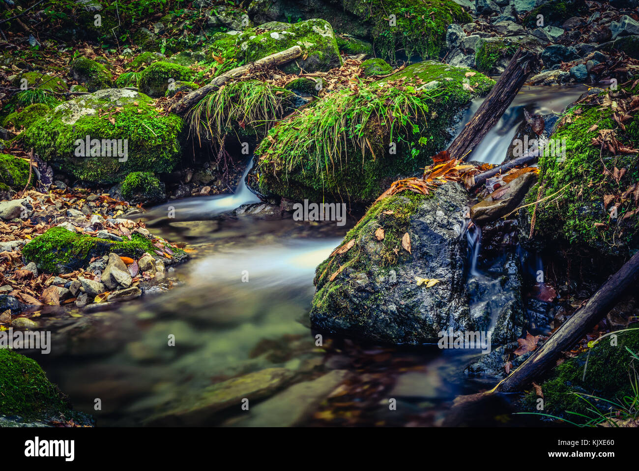 A stream at rockGarden at Mount Mitake, Japan Stock Photo - Alamy