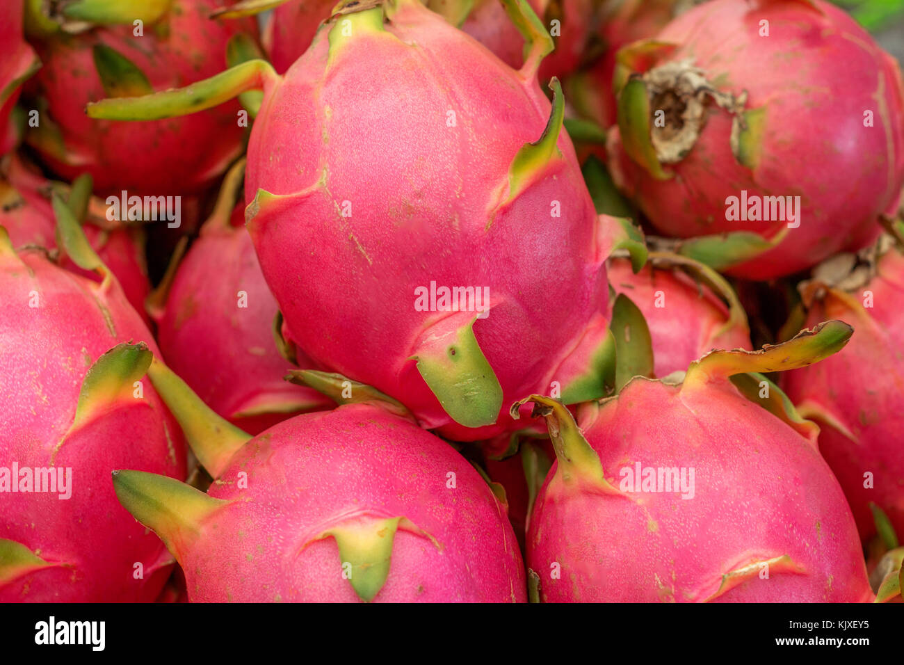 Dragon fruit pink closeup at market Stock Photo - Alamy